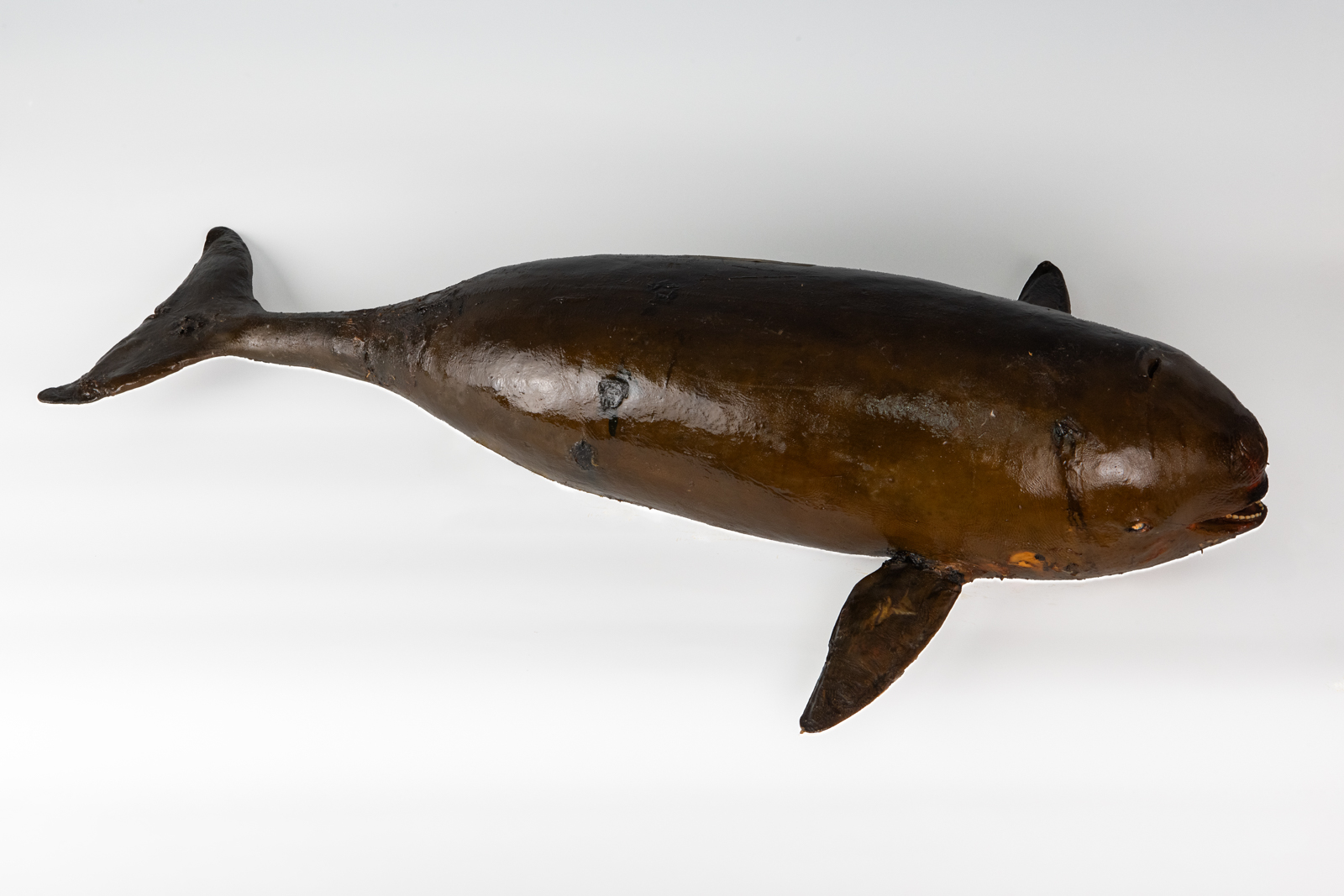 南京大学博物馆